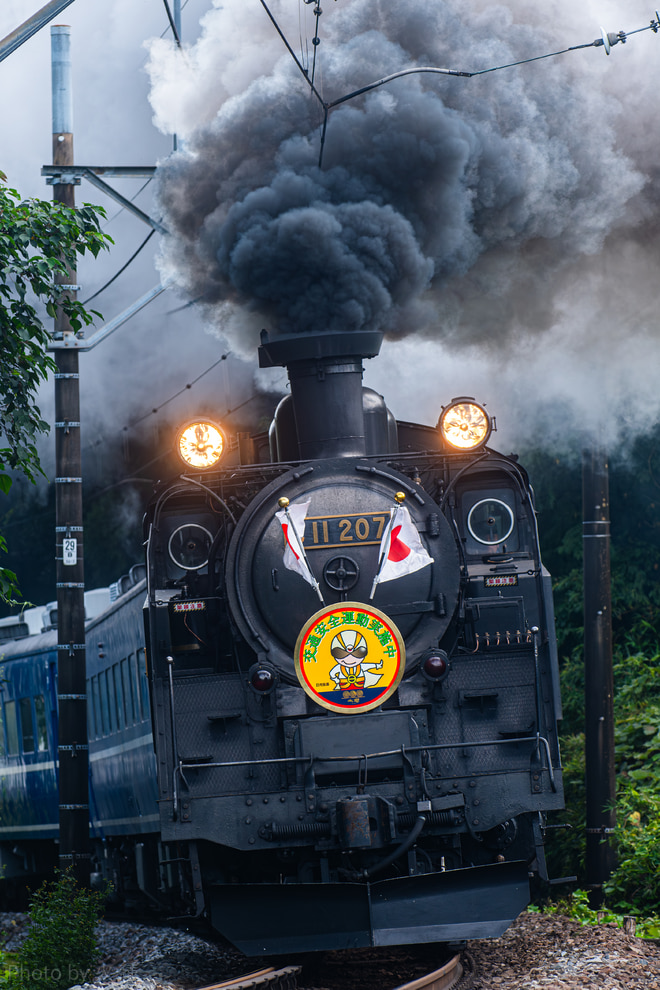下今市機関区 C11 207 の写真 |鉄道写真投稿サイトTrain-Directory