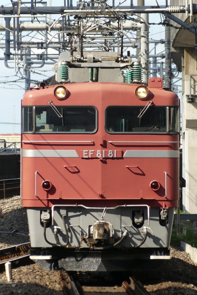 尾久車両センター EF81 81 の写真 |鉄道写真投稿サイトTrain-Directory