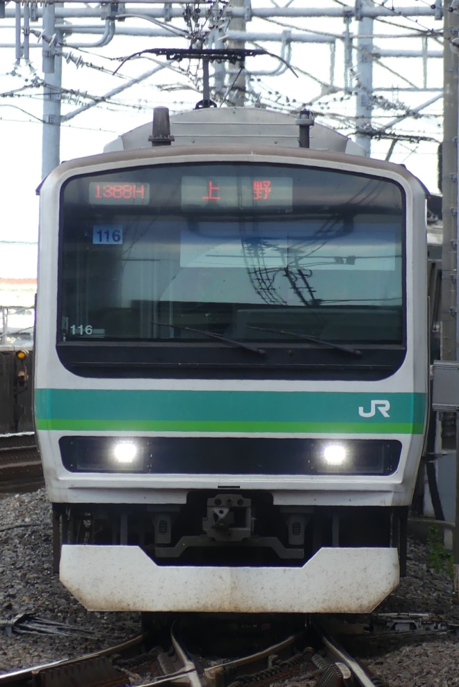 松戸車両センター本区 E231系 マト116編成 の写真 |鉄道写真投稿サイトTrain-Directory