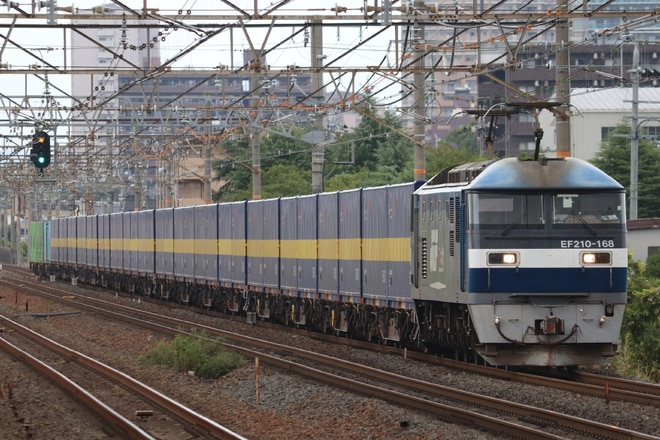 吹田機関区 EF210形 EF210-168 の写真 |鉄道写真投稿サイトTrain-Directory
