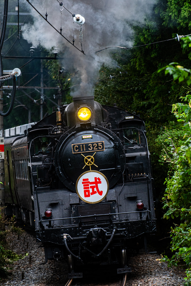 下今市機関区 C11 325 の写真 |鉄道写真投稿サイトTrain-Directory