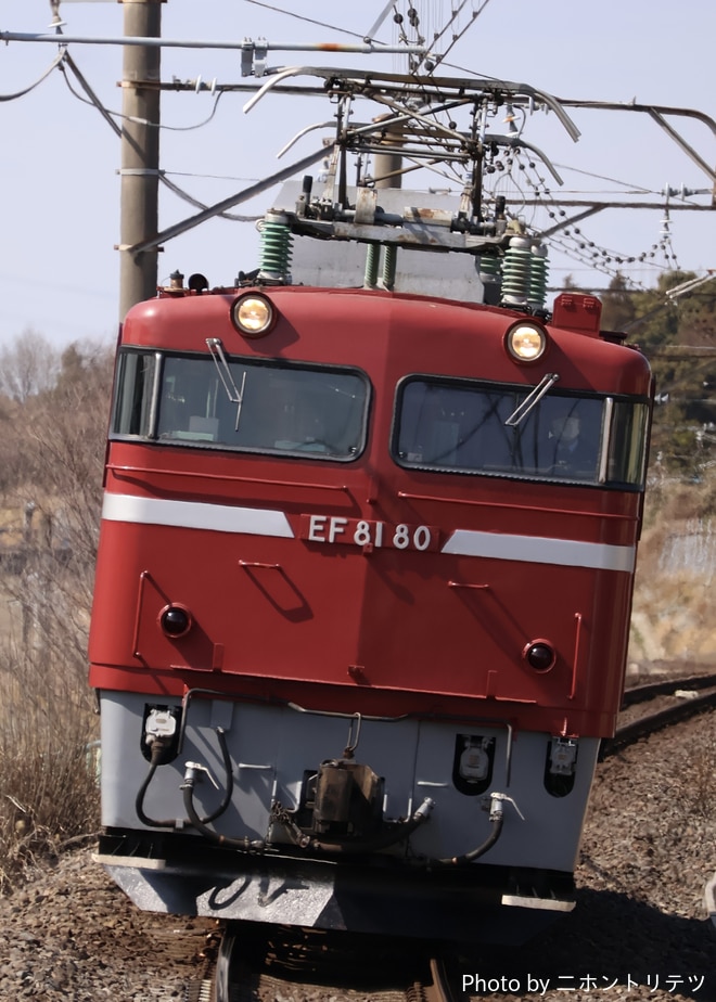田端運転所 EF81 80 の写真 |鉄道写真投稿サイトTrain-Directory
