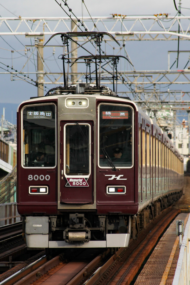 西宮車庫 8000系 8000F の写真 |鉄道写真投稿サイトTrain-Directory