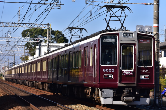 西宮車庫 8000系 8000F の写真 |鉄道写真投稿サイトTrain-Directory
