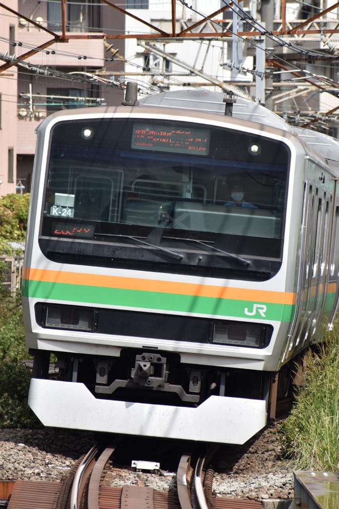 国府津車両センター E231系 コツK-24編成 の写真 |鉄道写真投稿サイトTrain-Directory