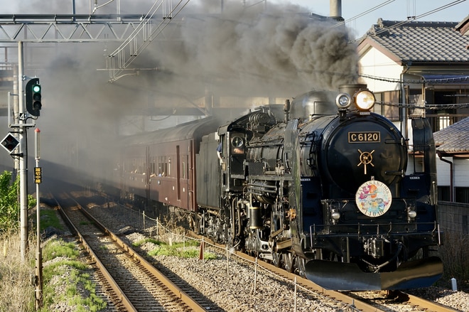 高崎車両センター C61 20 の写真 |鉄道写真投稿サイトTrain-Directory