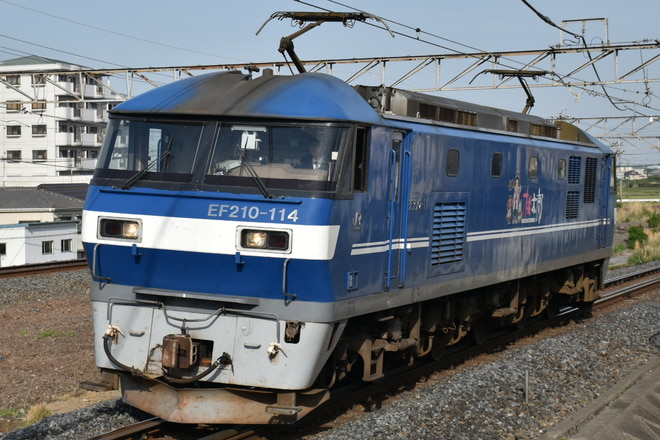 新鶴見機関区 EF210 114 の写真 |鉄道写真投稿サイトTrain-Directory