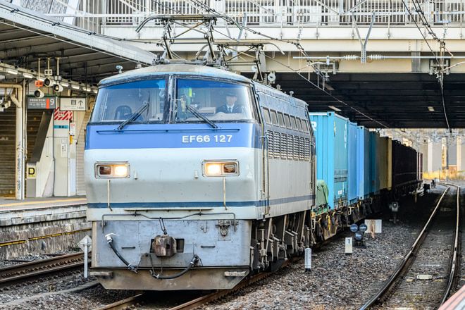 吹田機関区 EF66 127 の写真 |鉄道写真投稿サイトTrain-Directory