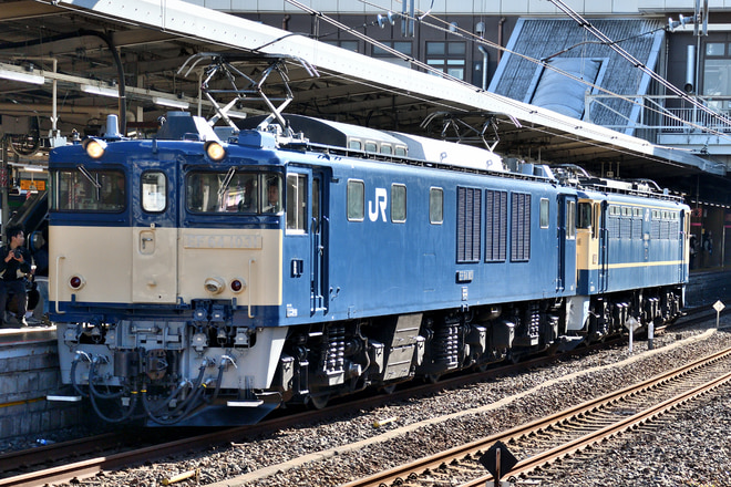 EF64 1031 の写真 |鉄道写真投稿サイトTrain-Directory