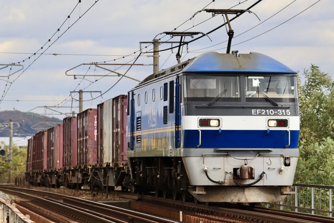 岡山機関区 EF210形 315 の写真 |鉄道写真投稿サイトTrain-Directory
