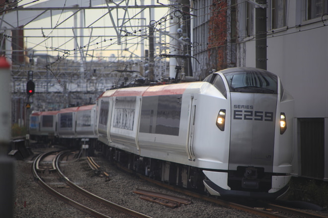 鎌倉車両センター本所 E259系 NE014 の写真 |鉄道写真投稿サイトTrain-Directory