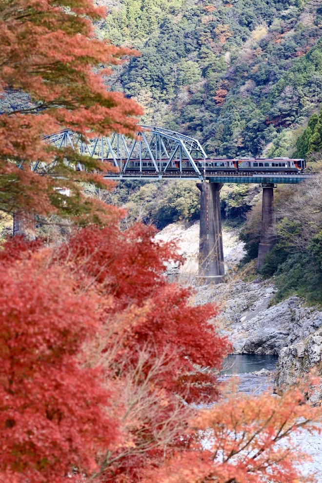 高知運転所 2700系 の写真 |鉄道写真投稿サイトTrain-Directory