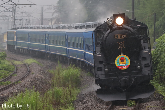 ぐんま車両センター C61 20 の写真 |鉄道写真投稿サイトTrain-Directory