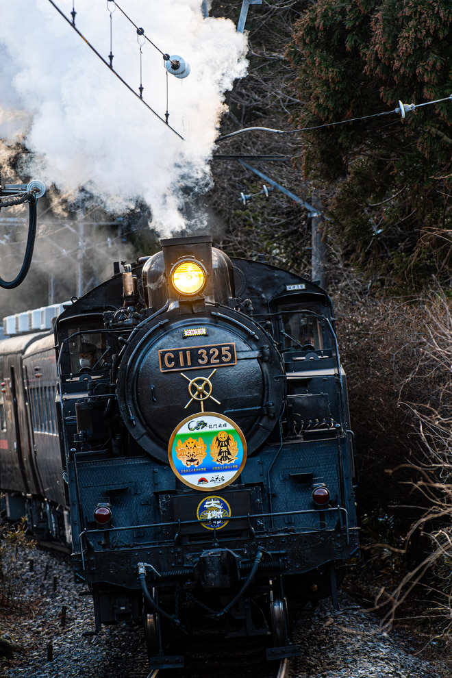 下今市機関区 C11 325 の写真 |鉄道写真投稿サイトTrain-Directory