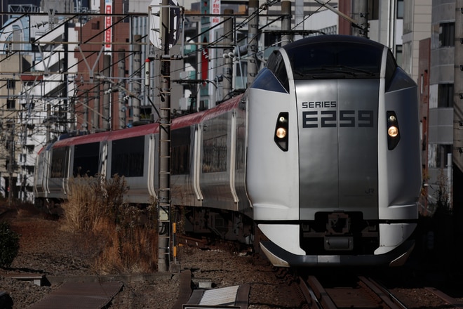 鎌倉車両センター本所 E259系 クラNe013編成 の写真 |鉄道写真投稿サイトTrain-Directory