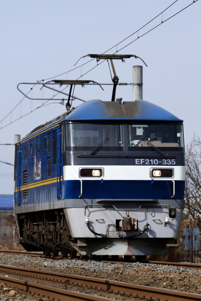 吹田機関区 EF210 335 の写真 |鉄道写真投稿サイトTrain-Directory
