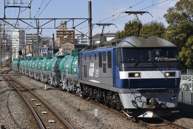 新鶴見機関区 EF210 164 の写真 |鉄道写真投稿サイトTrain-Directory