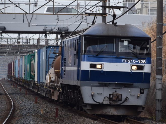 新鶴見機関区 EF210 125 の写真 |鉄道写真投稿サイトTrain-Directory
