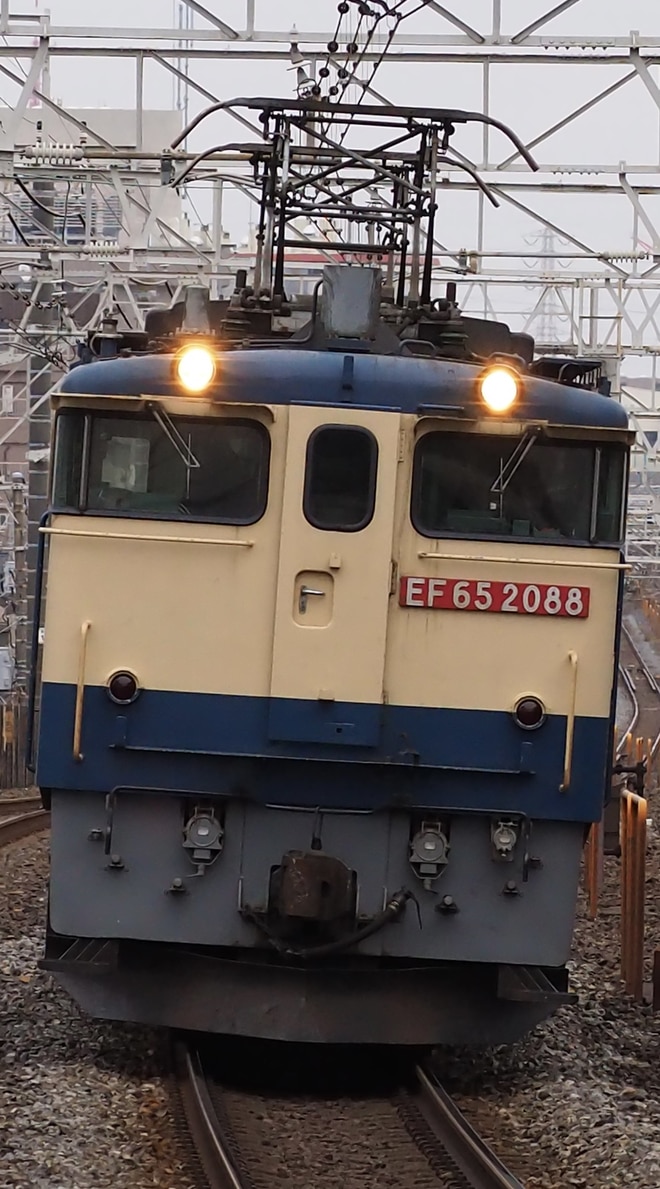 新鶴見機関区 EF65 2088 の写真 |鉄道写真投稿サイトTrain-Directory