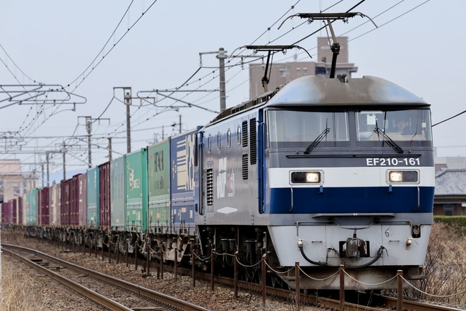 新鶴見機関区 EF210形 161 の写真 |鉄道写真投稿サイトTrain-Directory