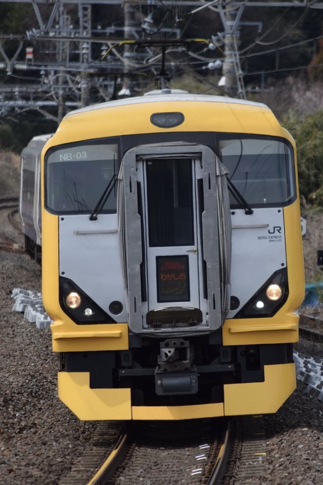幕張車両センター E257系 マリNB-03編成 の写真 |鉄道写真投稿サイトTrain-Directory