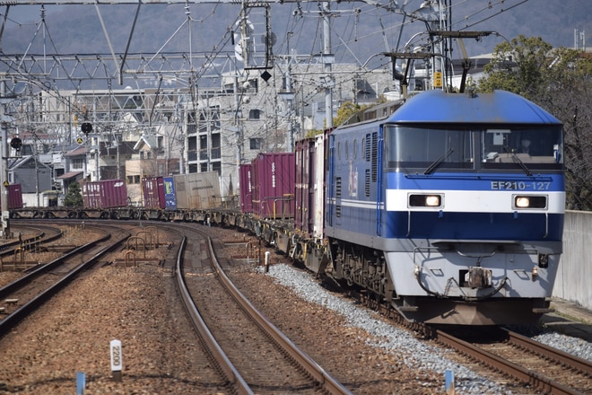 新鶴見機関区 EF210 127 の写真 |鉄道写真投稿サイトTrain-Directory