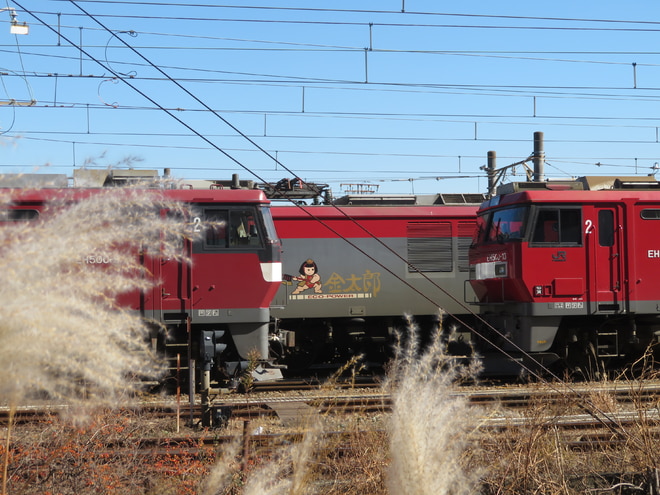 仙台総合鉄道部 EH500 13 の写真 |鉄道写真投稿サイトTrain-Directory