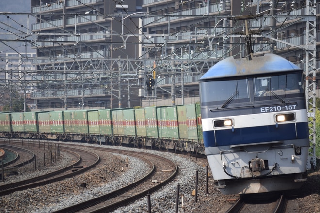 新鶴見機関区 EF210 157 の写真 |鉄道写真投稿サイトTrain-Directory