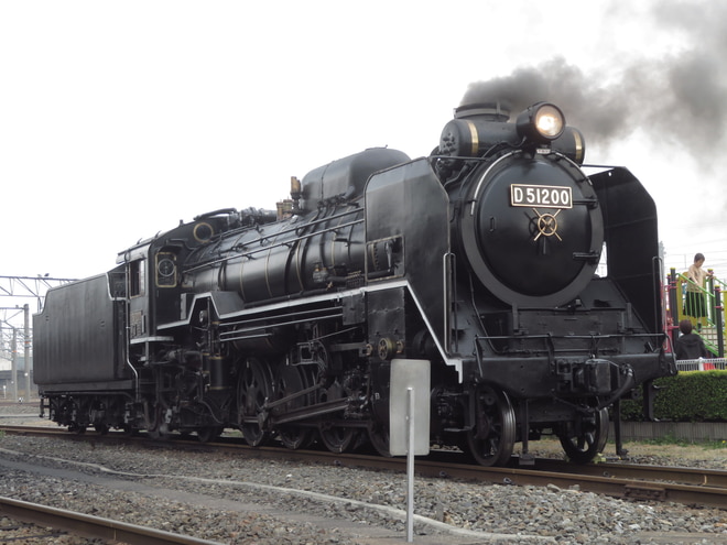 梅小路運転区 D51 200 の写真 |鉄道写真投稿サイトTrain-Directory