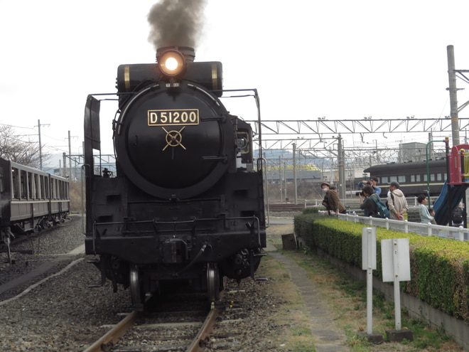 梅小路運転区 D51 200 の写真 |鉄道写真投稿サイトTrain-Directory