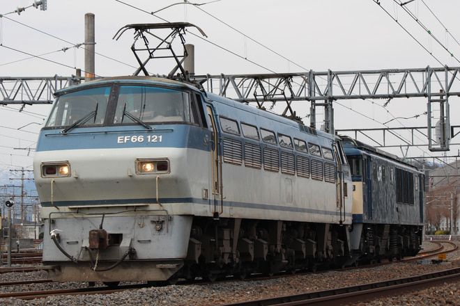 吹田機関区 EF66 121 の写真 |鉄道写真投稿サイトTrain-Directory