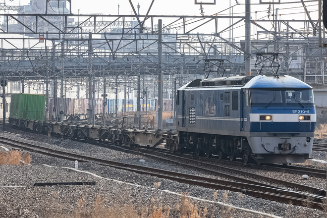 EF210 4 の写真 |鉄道写真投稿サイトTrain-Directory