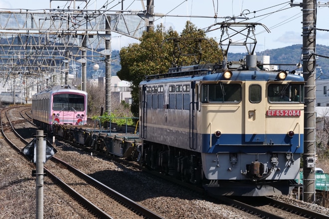 EF65 2084 の写真 |鉄道写真投稿サイトTrain-Directory