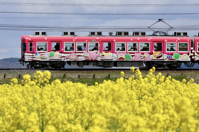 仏生山工場 1100形 1105 の写真 |鉄道写真投稿サイトTrain-Directory