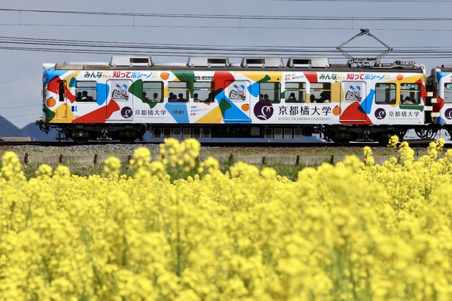 仏生山工場 1000形 1091 の写真 |鉄道写真投稿サイトTrain-Directory