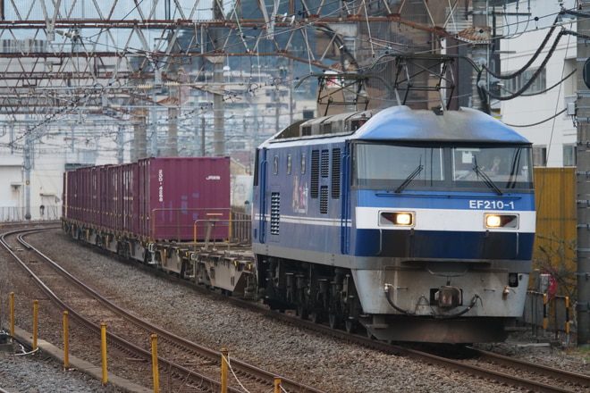 EF210 1 の写真 |鉄道写真投稿サイトTrain-Directory