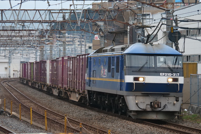 EF210 317 の写真 |鉄道写真投稿サイトTrain-Directory