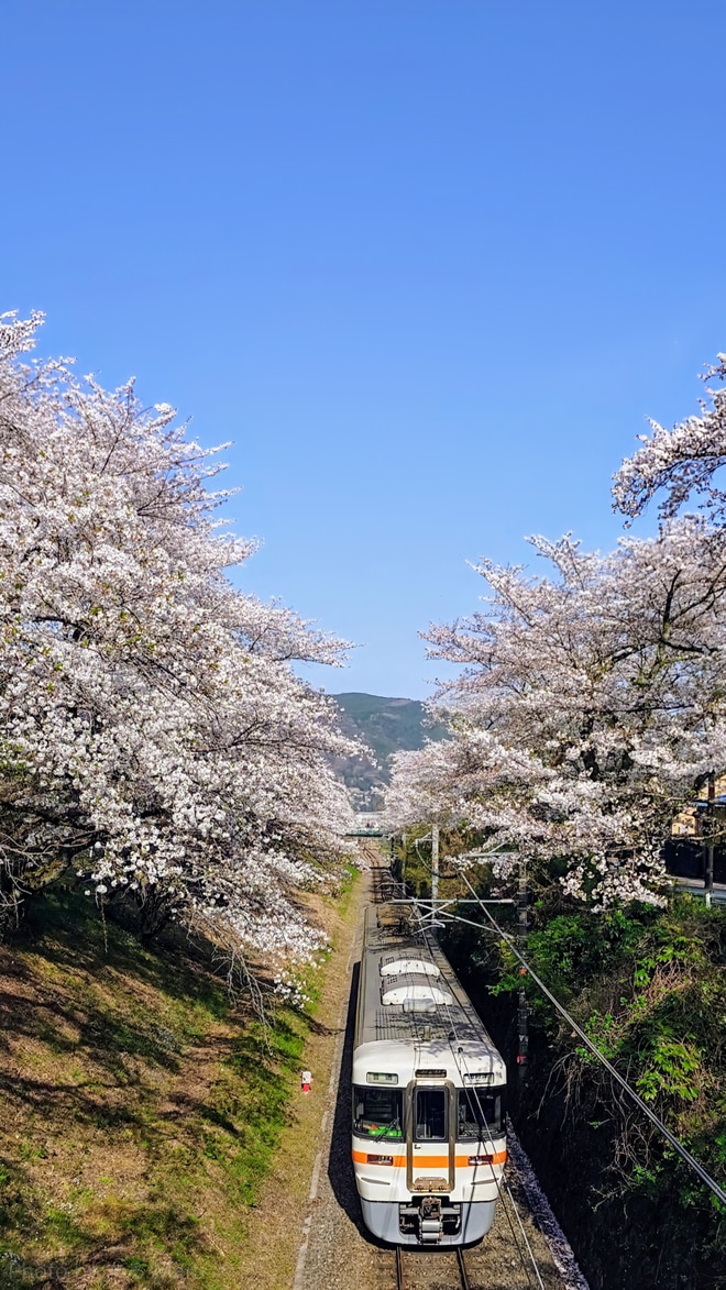 静岡車両区 313系 V1編成 の写真 |鉄道写真投稿サイトTrain-Directory