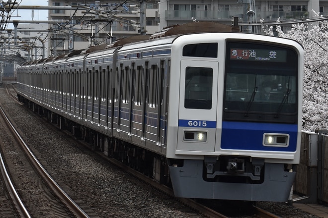 池袋線車両所小手指車両基地 6000系 6115F の写真 |鉄道写真投稿サイトTrain-Directory