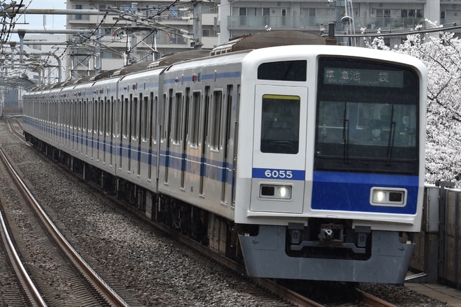 池袋線車両所小手指車両基地 6000系 6155F の写真 |鉄道写真投稿サイトTrain-Directory