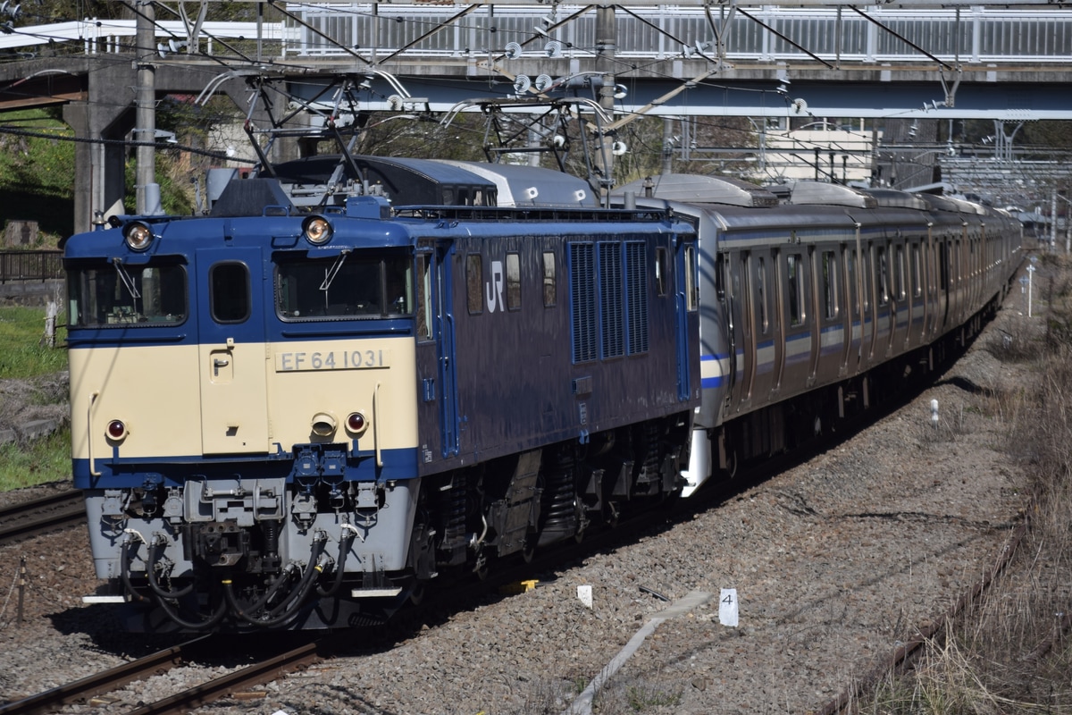 新潟車両センター EF64 1031 の写真 |鉄道写真投稿サイトTrain-Directory