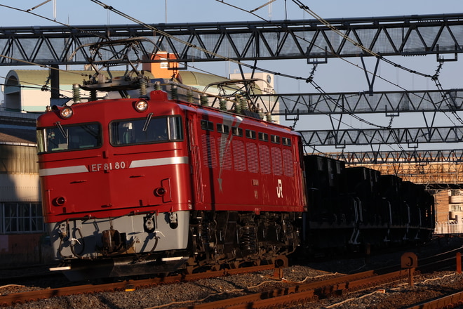 尾久車両センター EF81 80 の写真 |鉄道写真投稿サイトTrain-Directory
