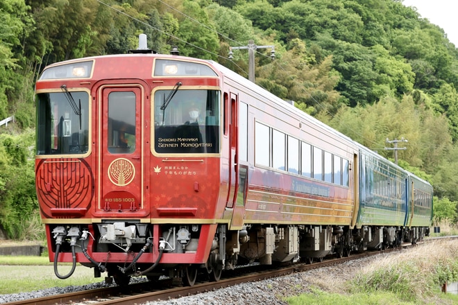 高松運転所 キロ185系 1003 の写真 |鉄道写真投稿サイトTrain-Directory