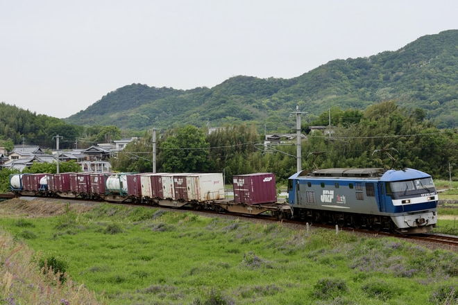 岡山機関区 EF210 167 の写真 |鉄道写真投稿サイトTrain-Directory