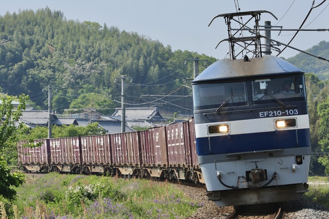 吹田機関区 EF210形 103 の写真 |鉄道写真投稿サイトTrain-Directory