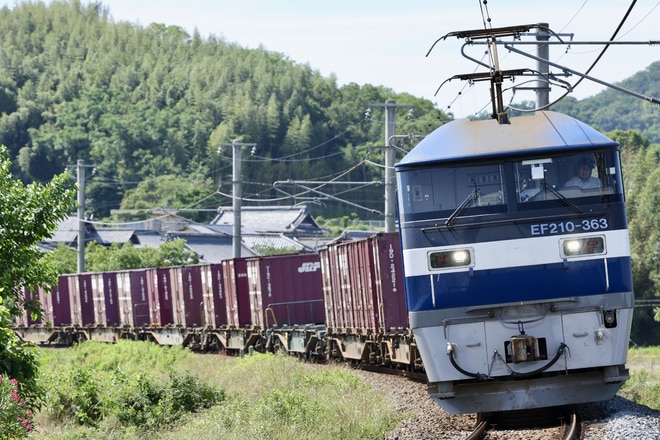 吹田機関区 EF210 363 の写真 |鉄道写真投稿サイトTrain-Directory