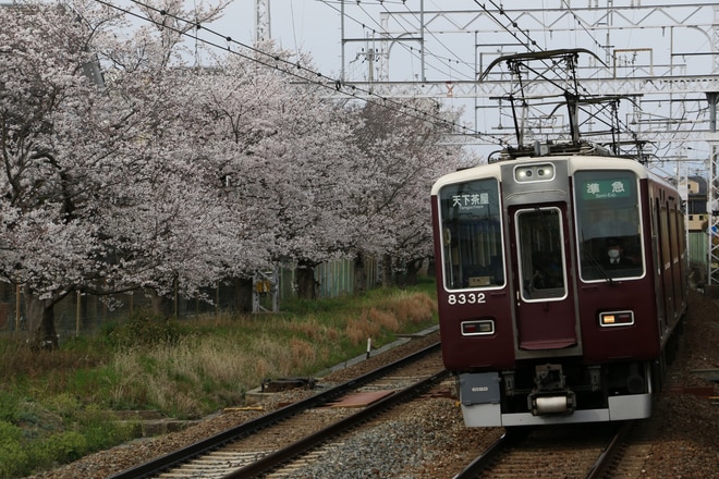 正雀車庫 8300系 8332F の写真 |鉄道写真投稿サイトTrain-Directory