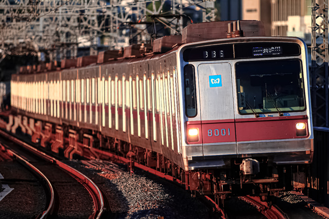 鷺沼検車区 8000系 8101F の写真 |鉄道写真投稿サイトTrain-Directory