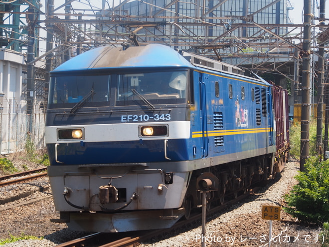新鶴見機関区 EF210 343 の写真 |鉄道写真投稿サイトTrain-Directory