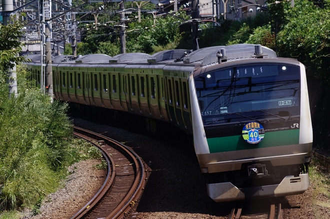 川越車両センター E233系 ハエ117編成 の写真 |鉄道写真投稿サイトTrain-Directory